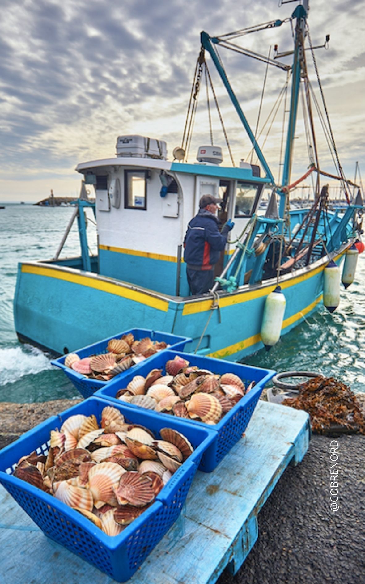 BREIZHMER - Produits de la mer de Bretagne